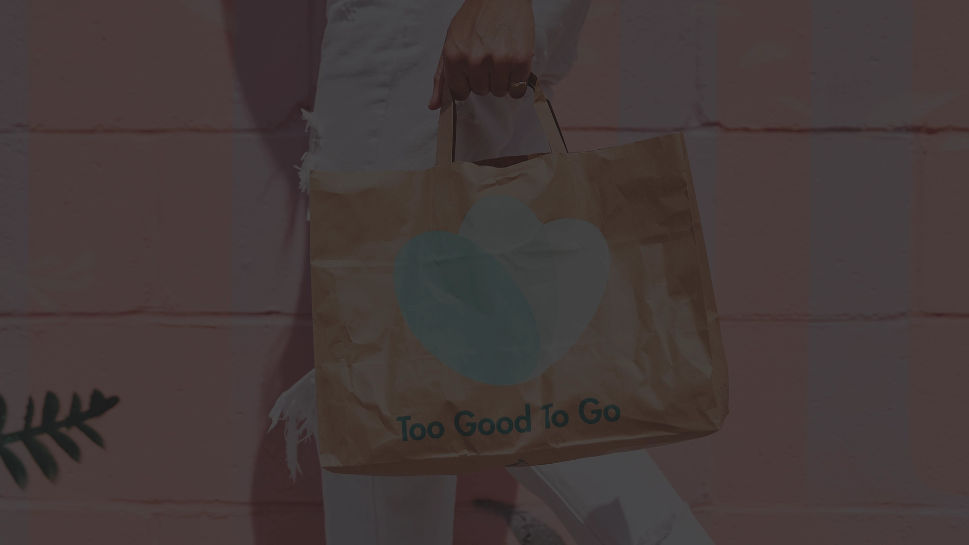 Too Good To Go: Satisfying Your Appetite for Sustainability | Sparx ...